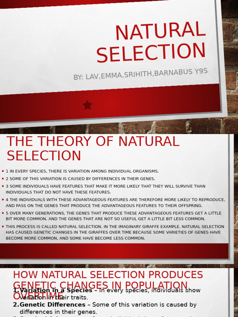 Bio HW by Lav and Grou | PDF | Genetic Diversity | Natural Selection