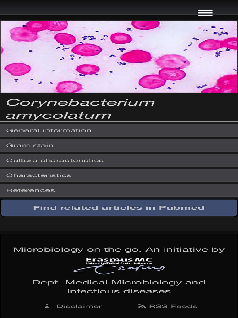 Corynebacterium Amycolatum | PDF