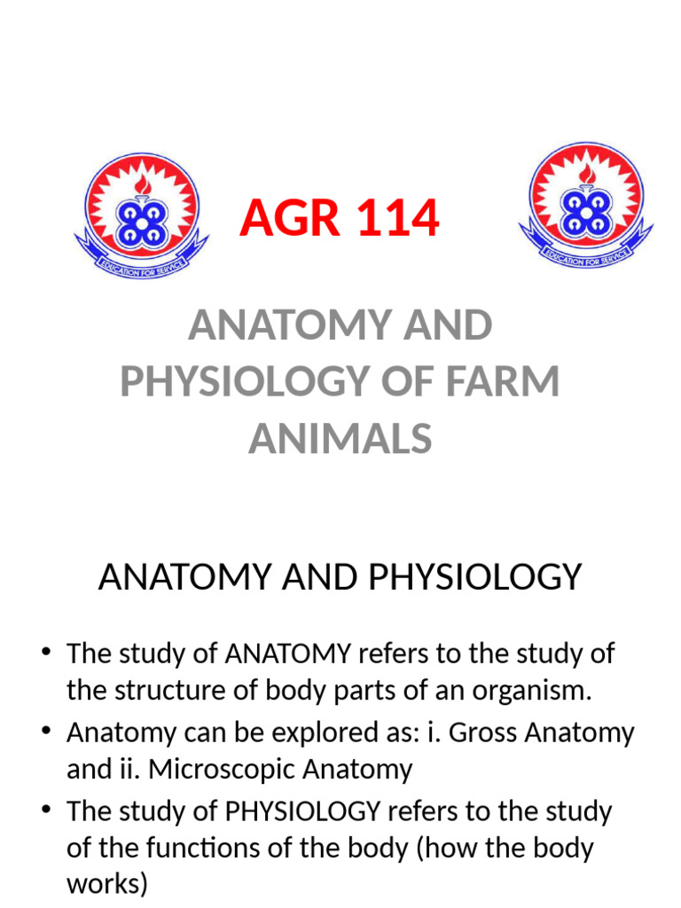 Anatomy and Physiology of Farm Animals | PDF | Epithelium | Tissue ...