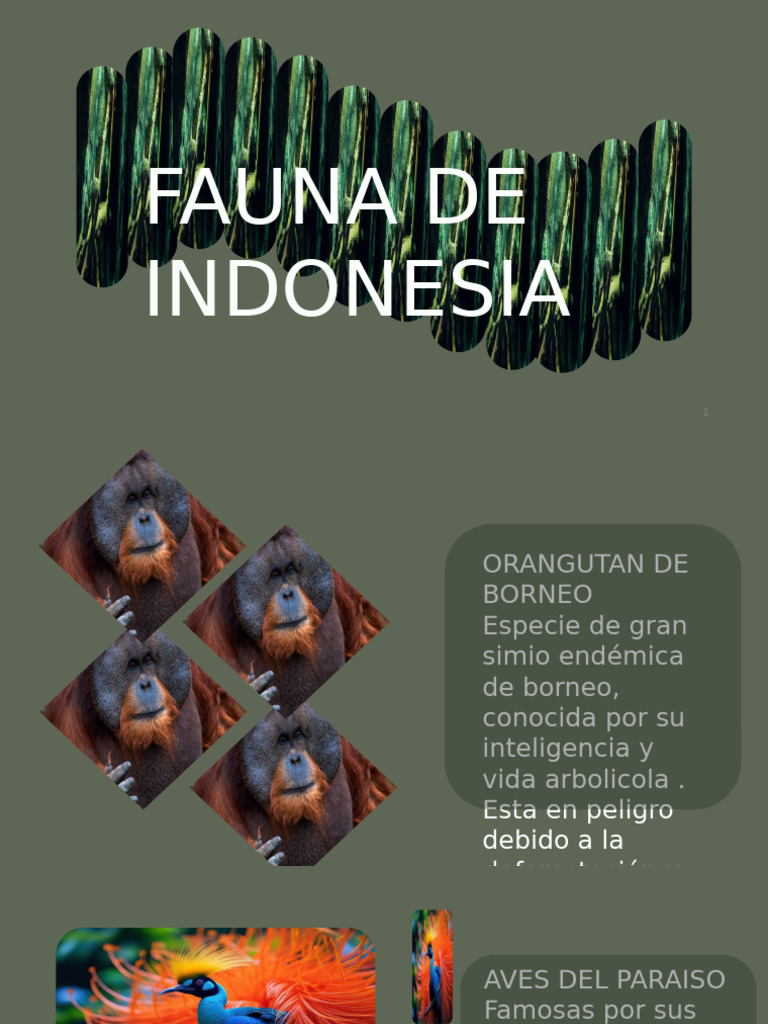 Presentación de Océano | PDF