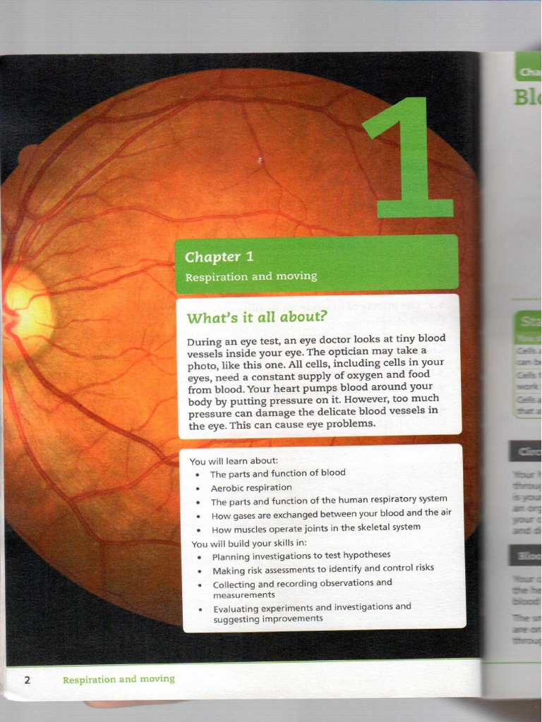 Ch1. Respiration and Moving | PDF