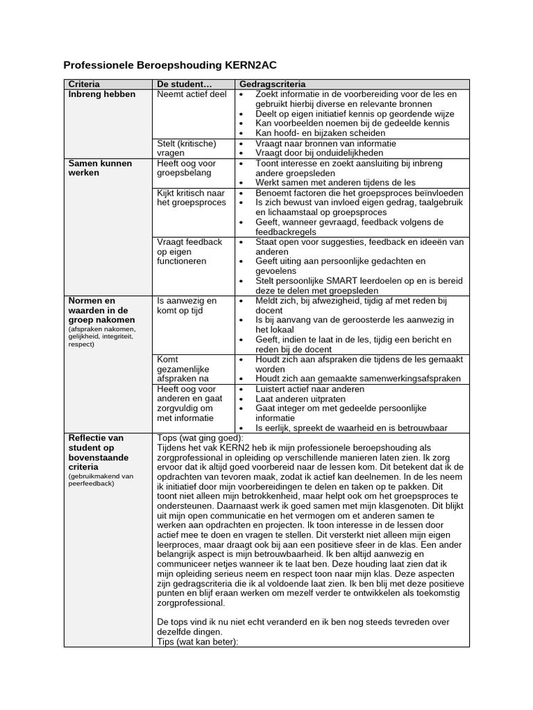Beoordelingsschema Professionele Beroepshouding KERN2AC | PDF