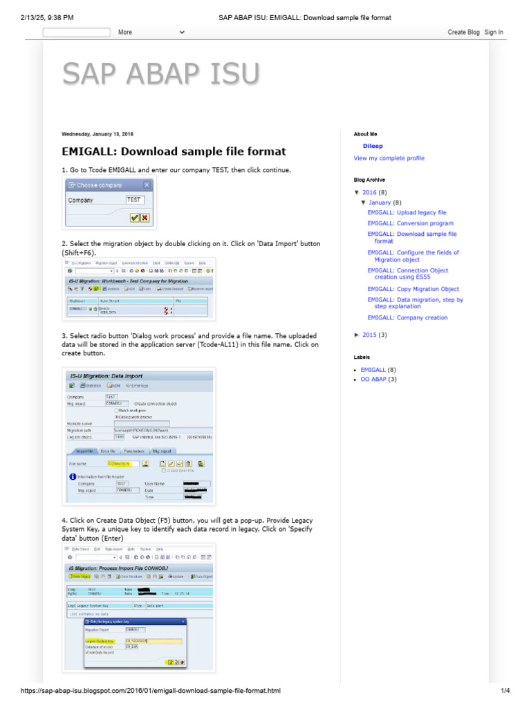 EMIGALL Sample File Format Guide | PDF | Download | Computer Programming
