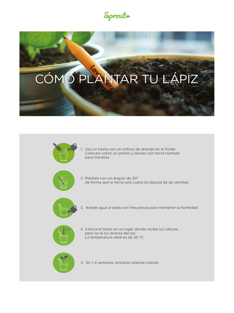 Cómo Plantar Tu Lápiz | PDF