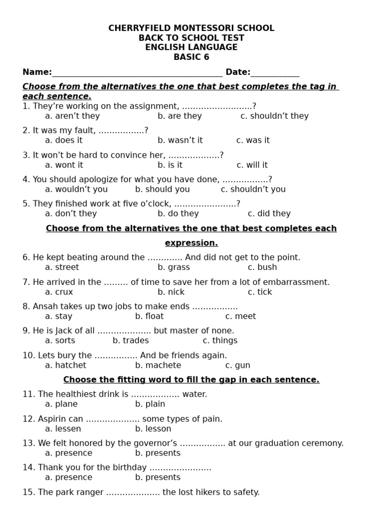 Basic 6 English Language | PDF
