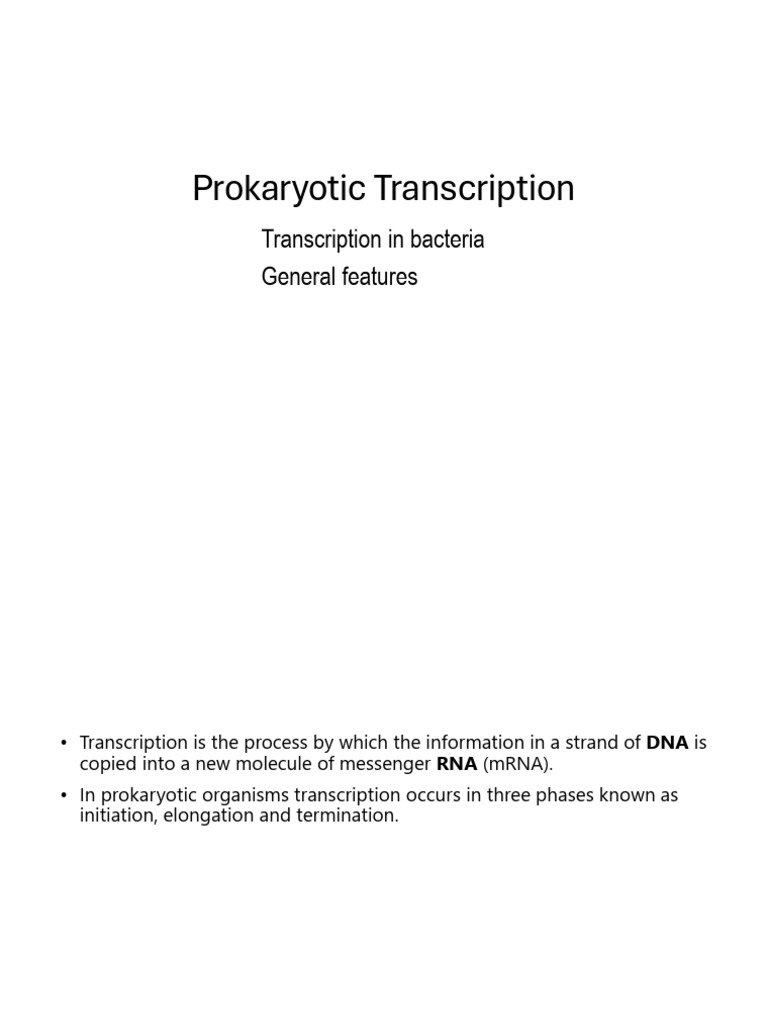 L1 Transcription in Bacteria | PDF | Rna | Dna
