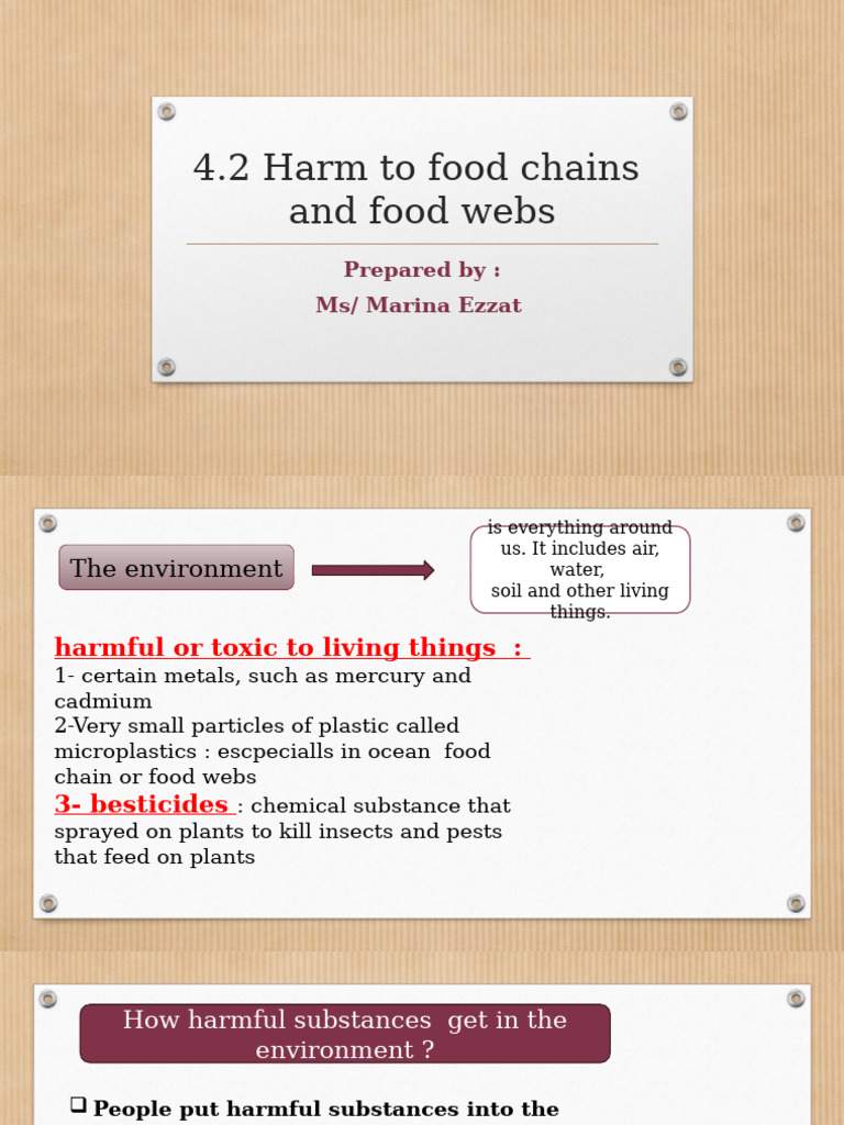 Impact of Pesticides on Food Chains | PDF | Pesticide | Pest (Organism)
