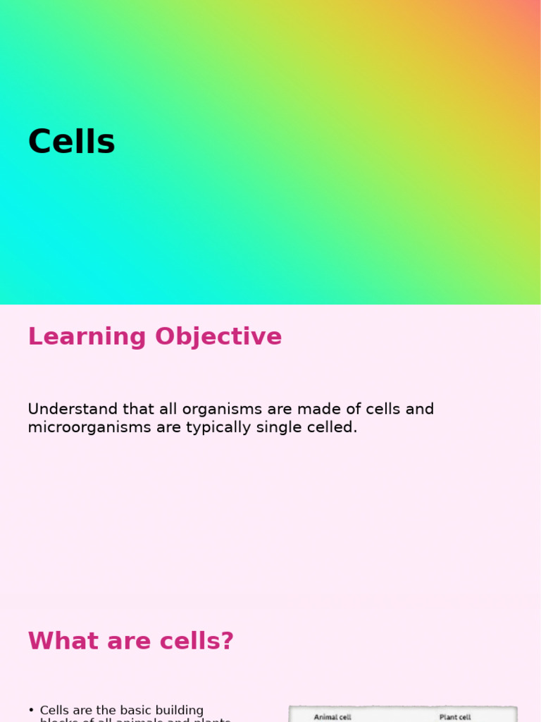 Understanding Plant and Animal Cells | PDF