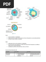 Cell Organelles Detailed Notes | PDF | Endoplasmic Reticulum | Cell ...