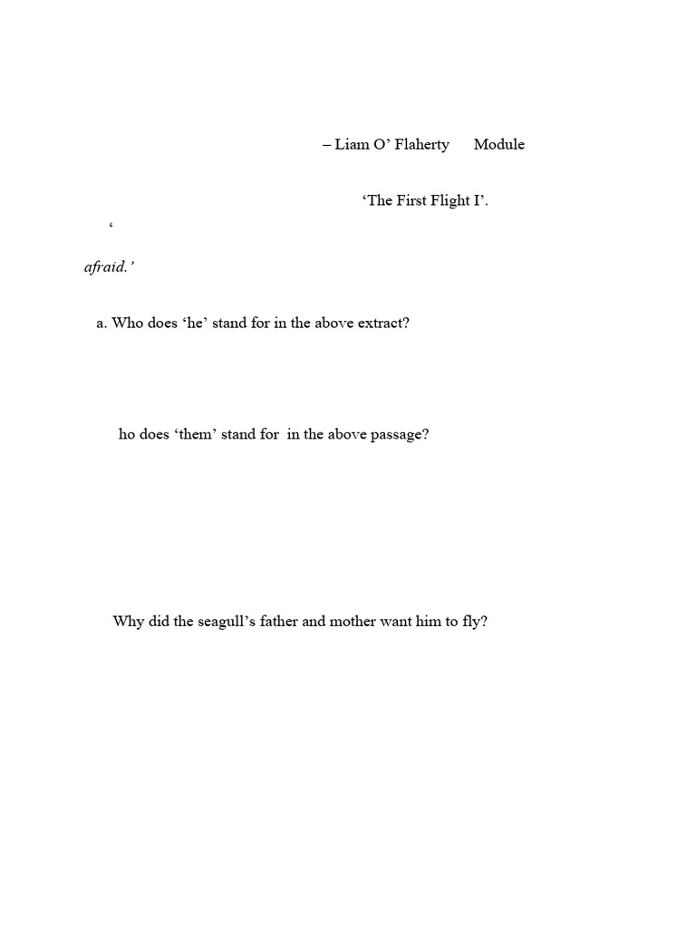 First Flight: Seagull's Journey | PDF