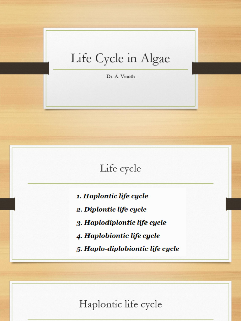 Algae Life Cycles & Cultivation | PDF | Algae | Biology