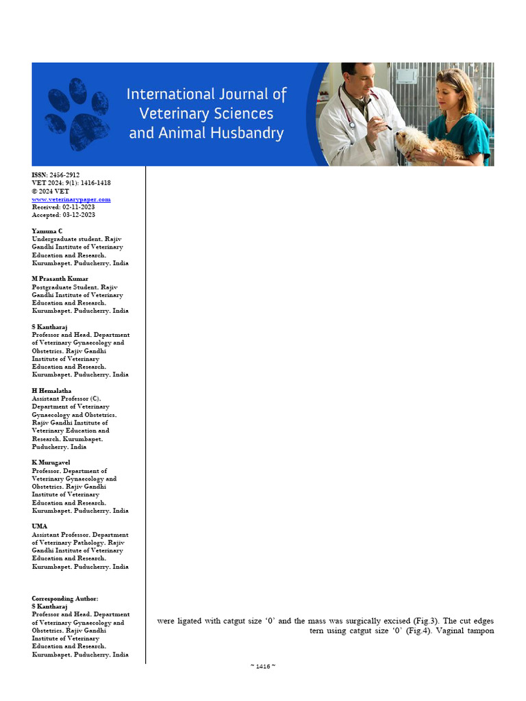 Vaginal Fibroma in A Pug | PDF | Vagina | Neutering