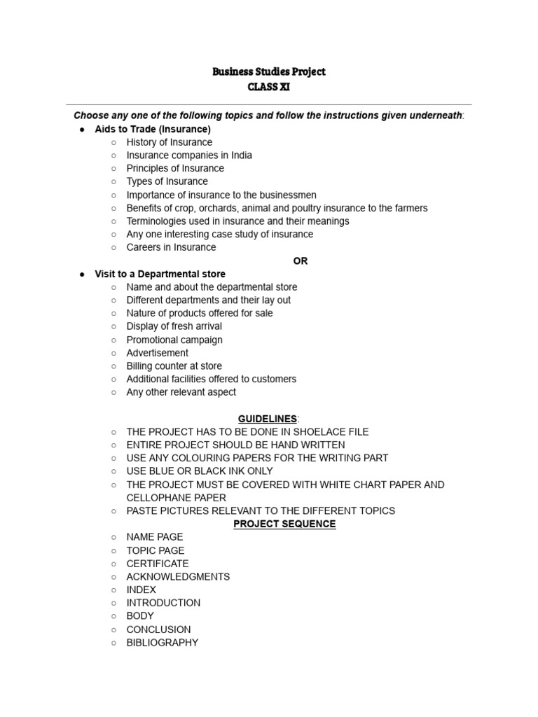 Business Studies Project Pdf