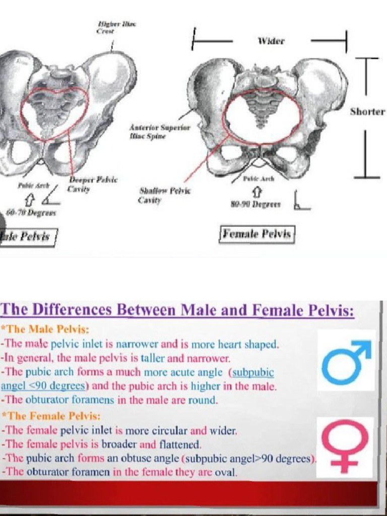 PDFReader 20250109 1840 | PDF