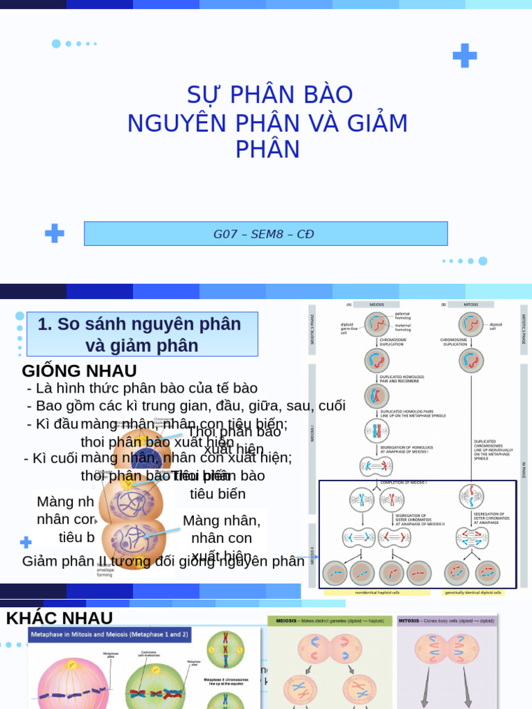 Sem 8 | PDF