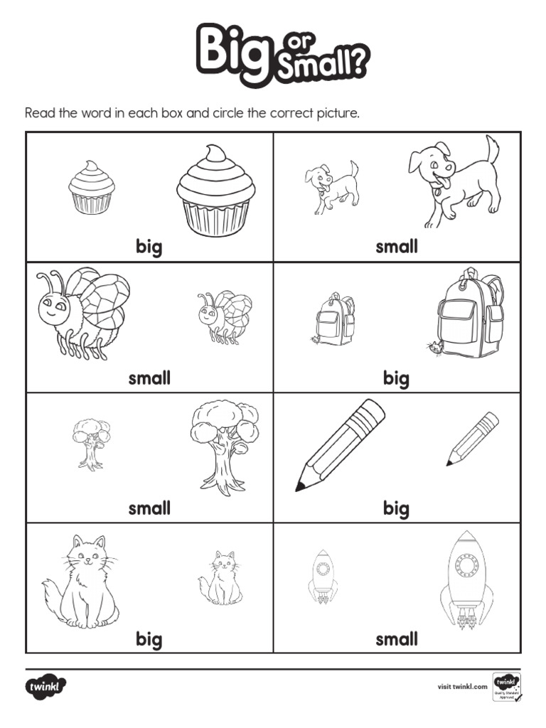 Big vs Small: Picture Matching Activity | PDF