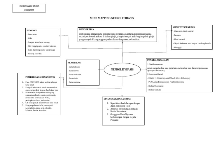 Mind Mapping Nefrolithiasis - Munika Pandu Srijaya | PDF