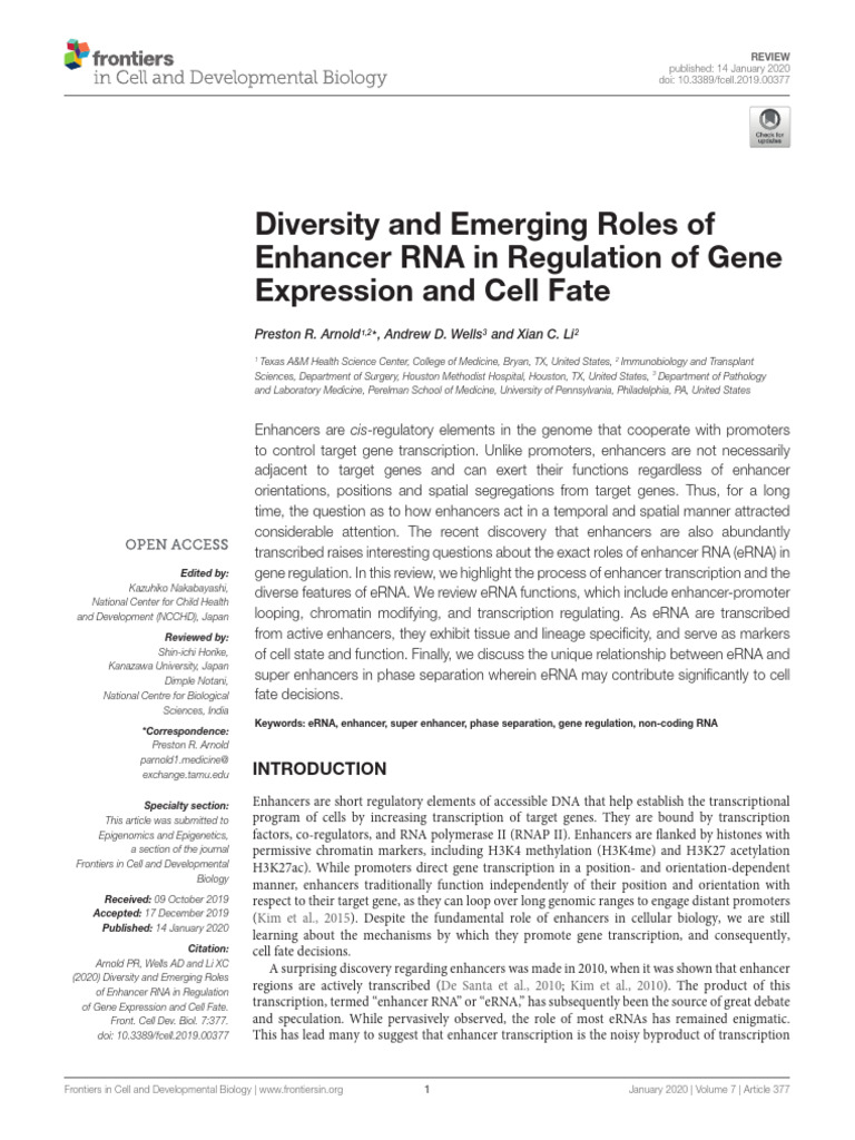 Diversity and Emerging Roles of Enhancer RNA in Regulation of Gene ...
