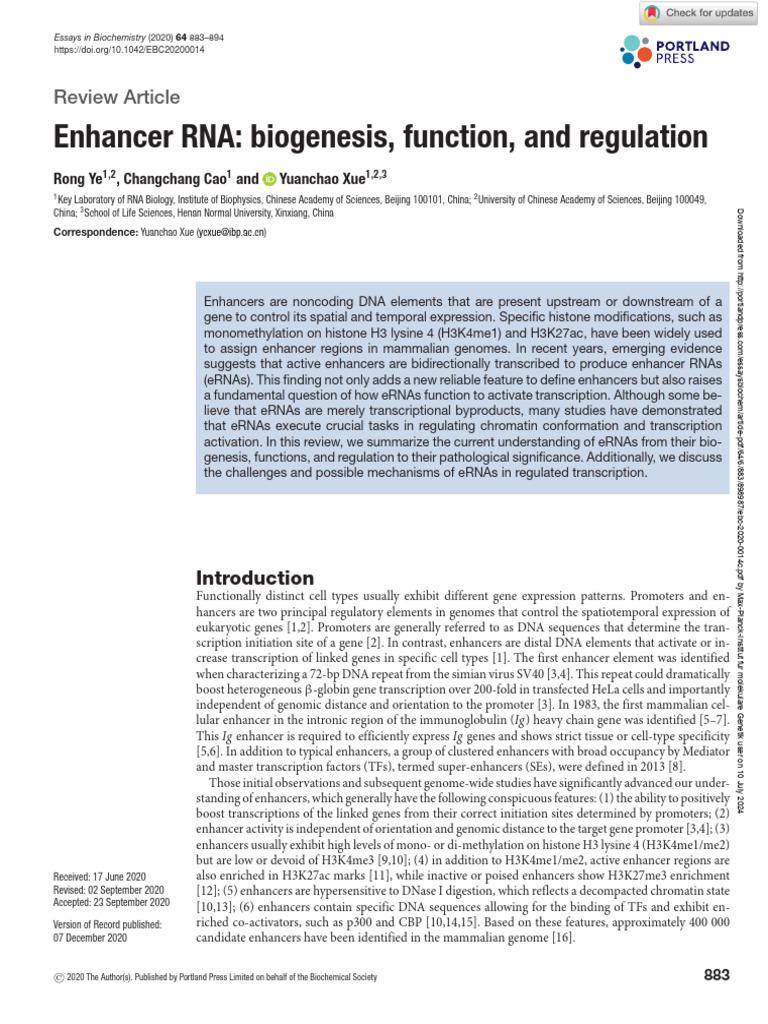 Enhancer RNA Biogenesis Function and Regulation | PDF | Promoter ...