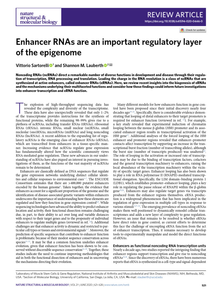 Enhancer RNAs Are An Important Regulatory Layer of The Epigenome | PDF ...