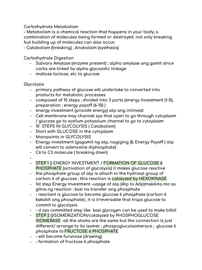 Lesson#4 Carbs Metabolism - Biolec | PDF | Glycolysis | Glucose
