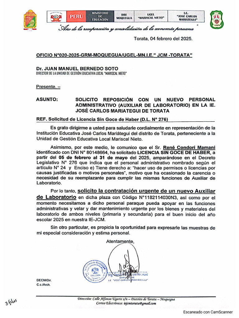 René Condori Mamani | PDF