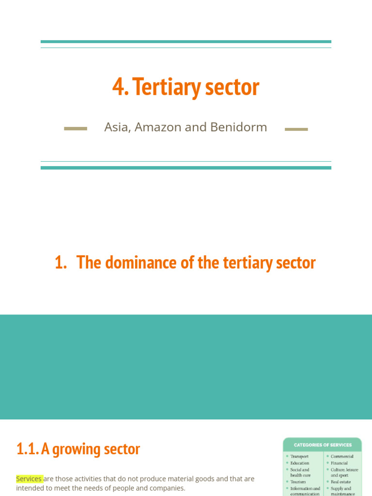 Tertiary Sector | PDF | Transport | Tourism