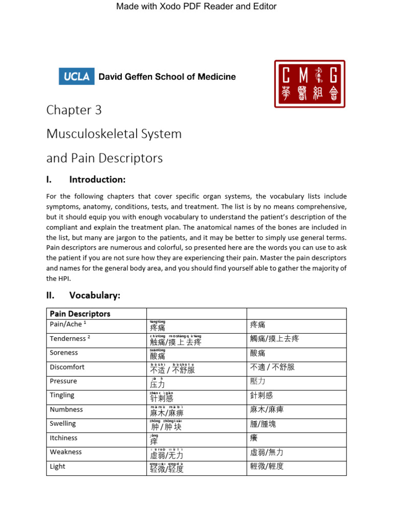 MSK | PDF | Vertebra | Vertebral Column
