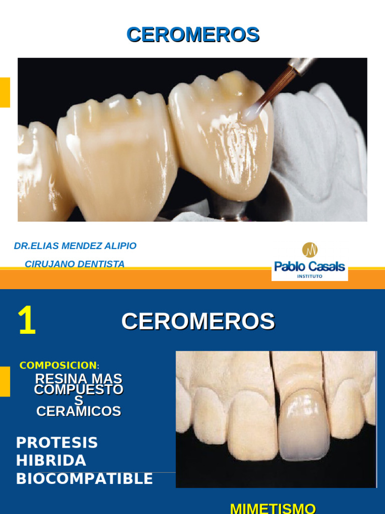 Tema#6 Ceromeros | PDF