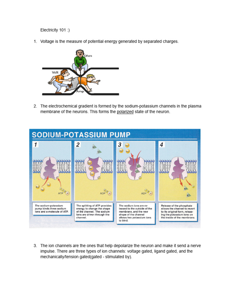 Objective III Facts Learned | PDF