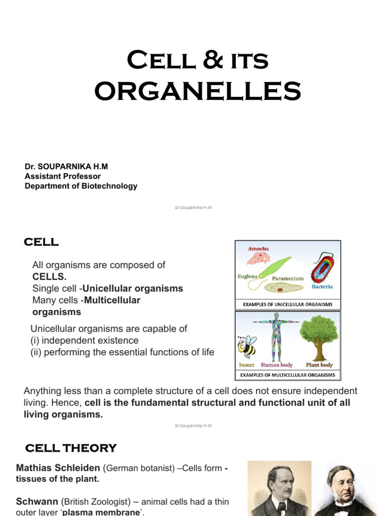 Unit1-Cells and Its Organelles | PDF | Endoplasmic Reticulum | Lysosome