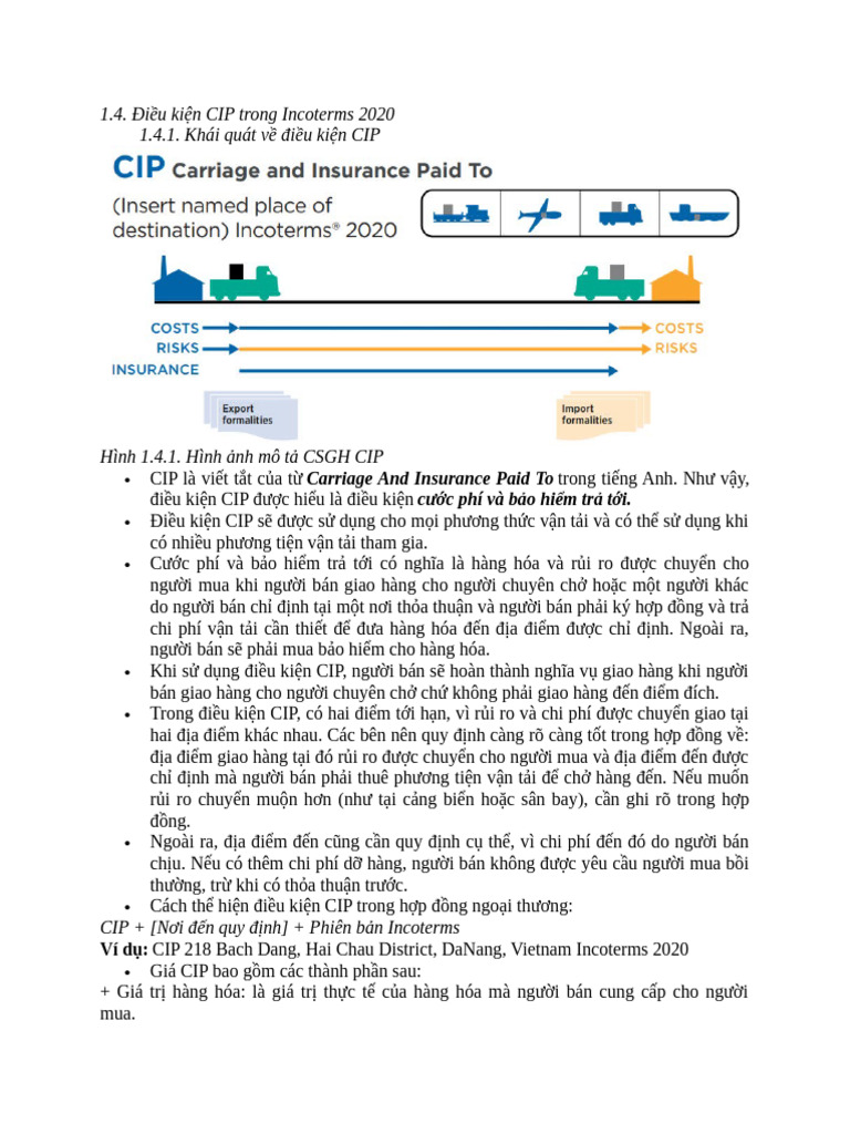 Điều kiện CIP | PDF