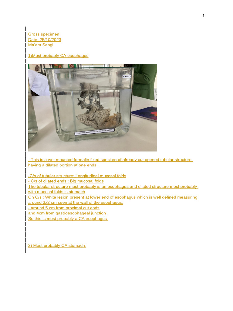 Esophageal and Gastric Cancer Specimens Analysis | PDF | Stomach ...
