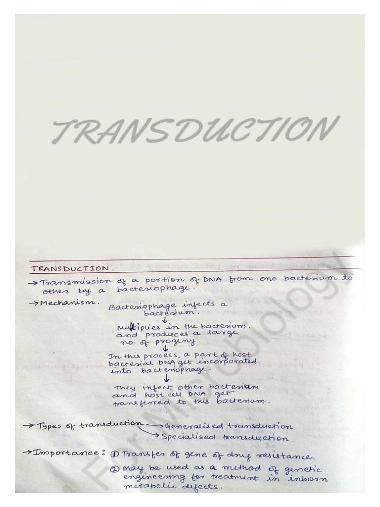 Transduction | PDF