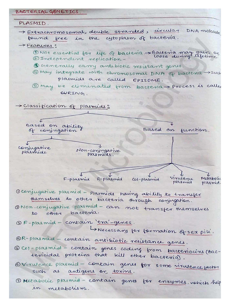 Bacterial Genetics 1 Pdf