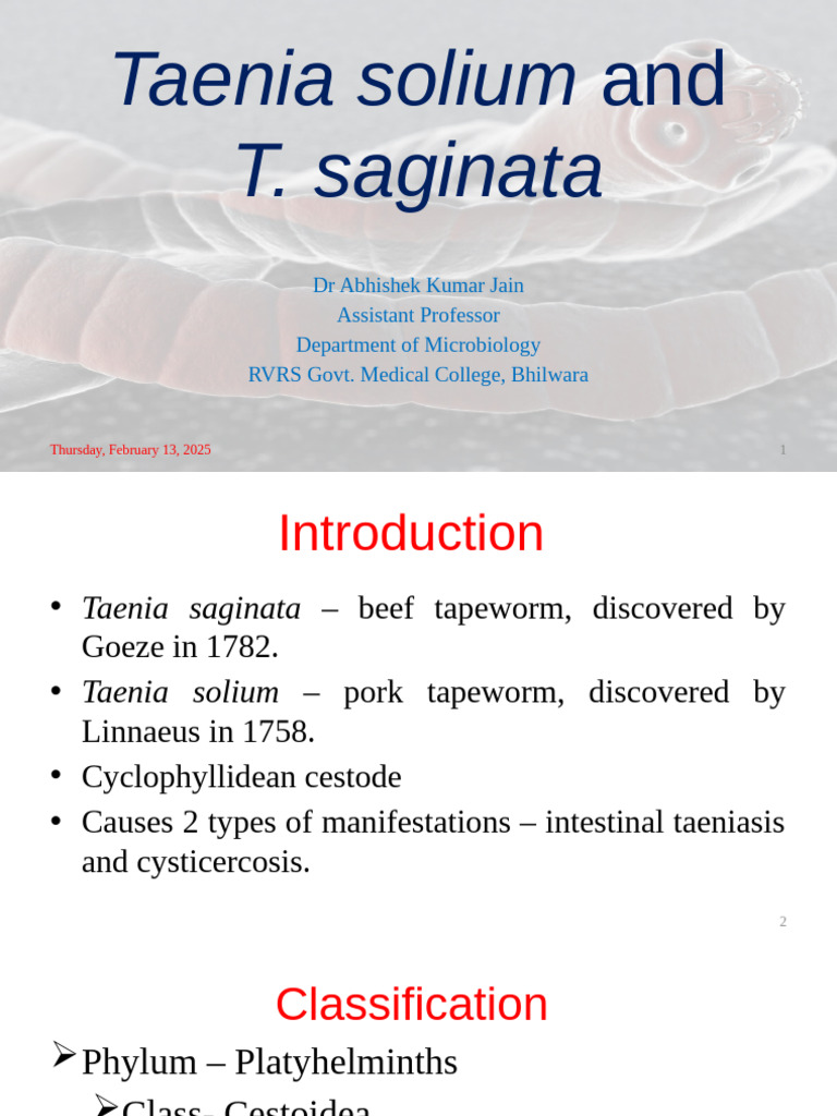Lec 8 Taenia | PDF | Clinical Medicine | Human Diseases And Disorders