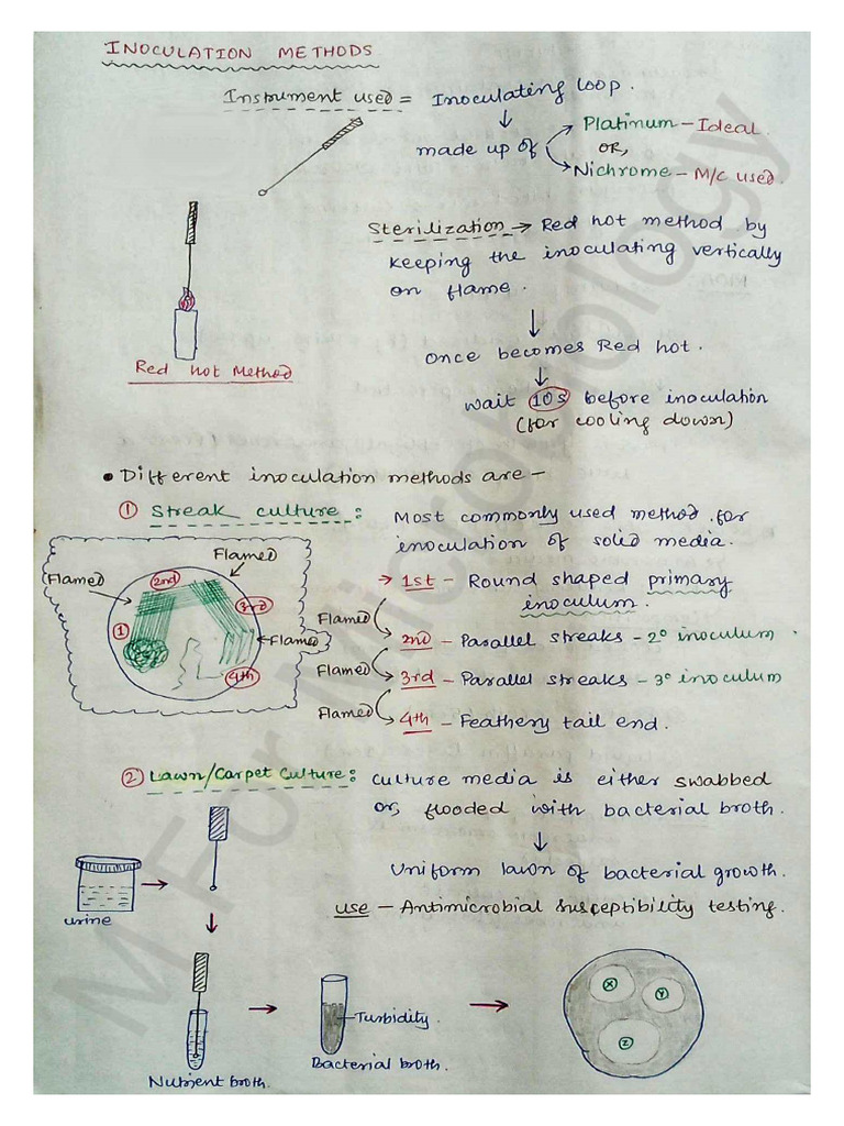 Inoculation Methods | PDF