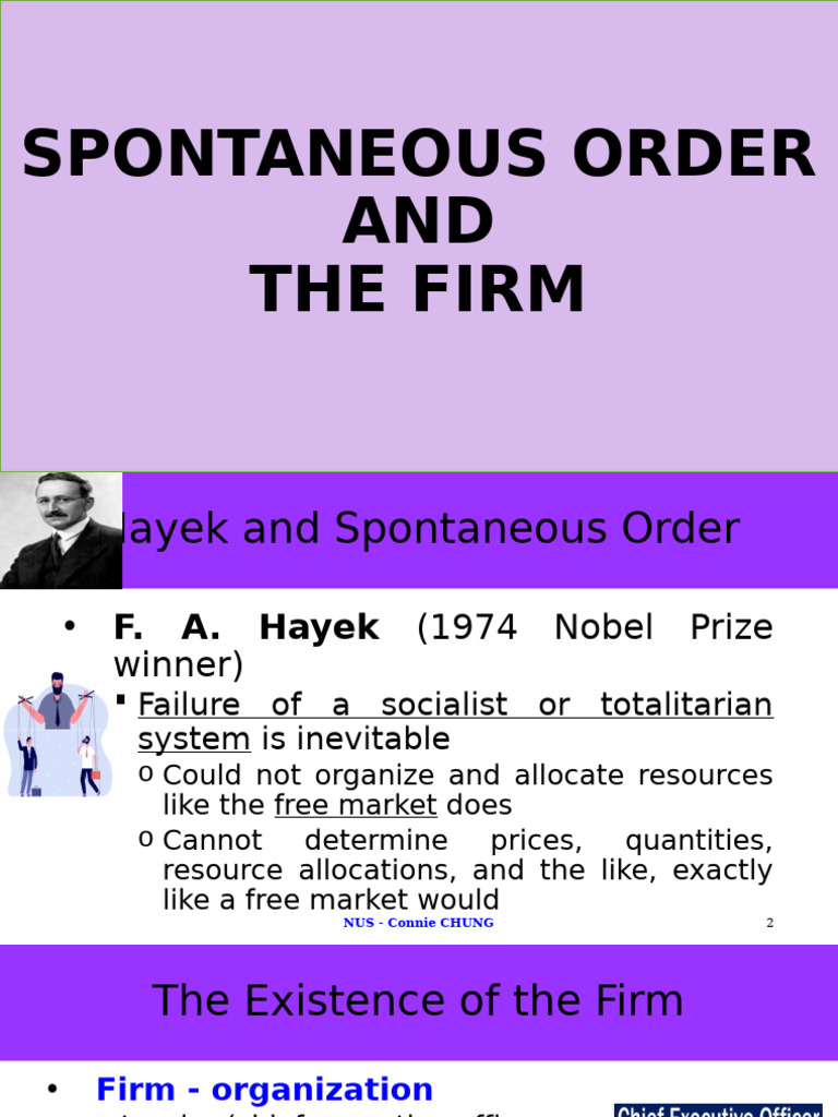Hayek on Firms and Spontaneous Order | PDF | Business Economics | Business