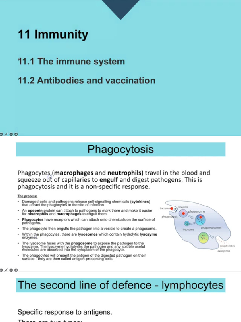 immunity | PDF