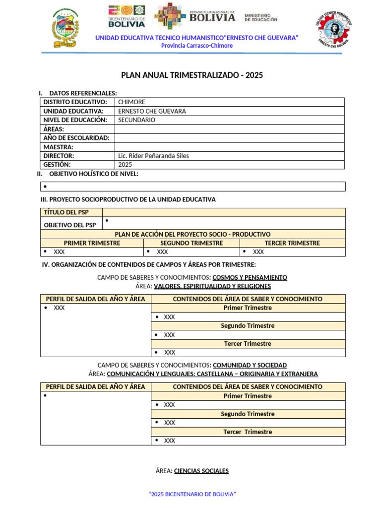 Plan Anual Trimestralizado 2025 | PDF