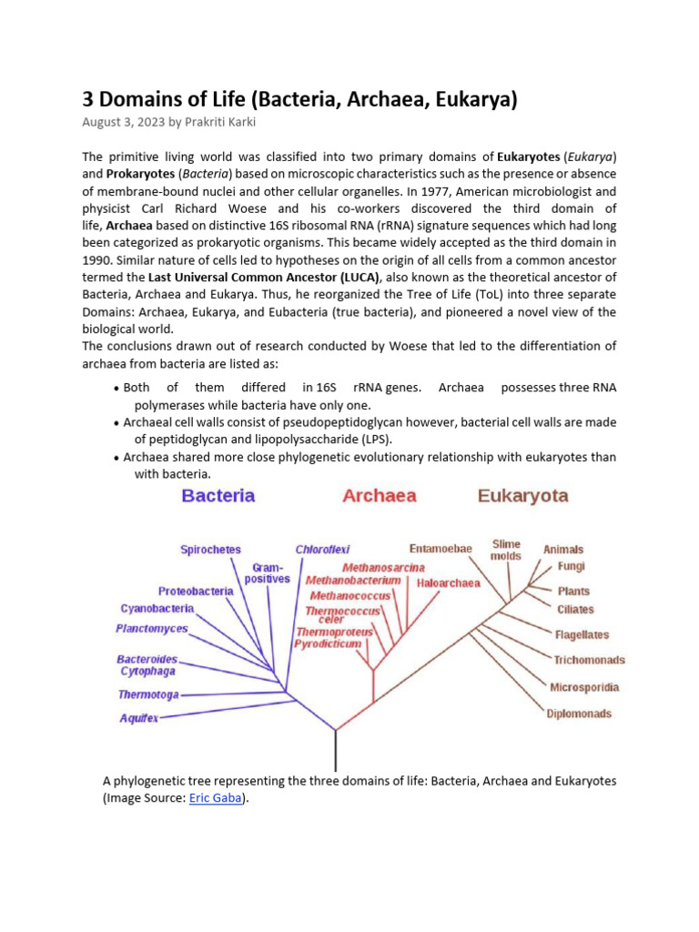 Reading Material 1 - Three Domains of Life | PDF | Archaea | Eukaryotes