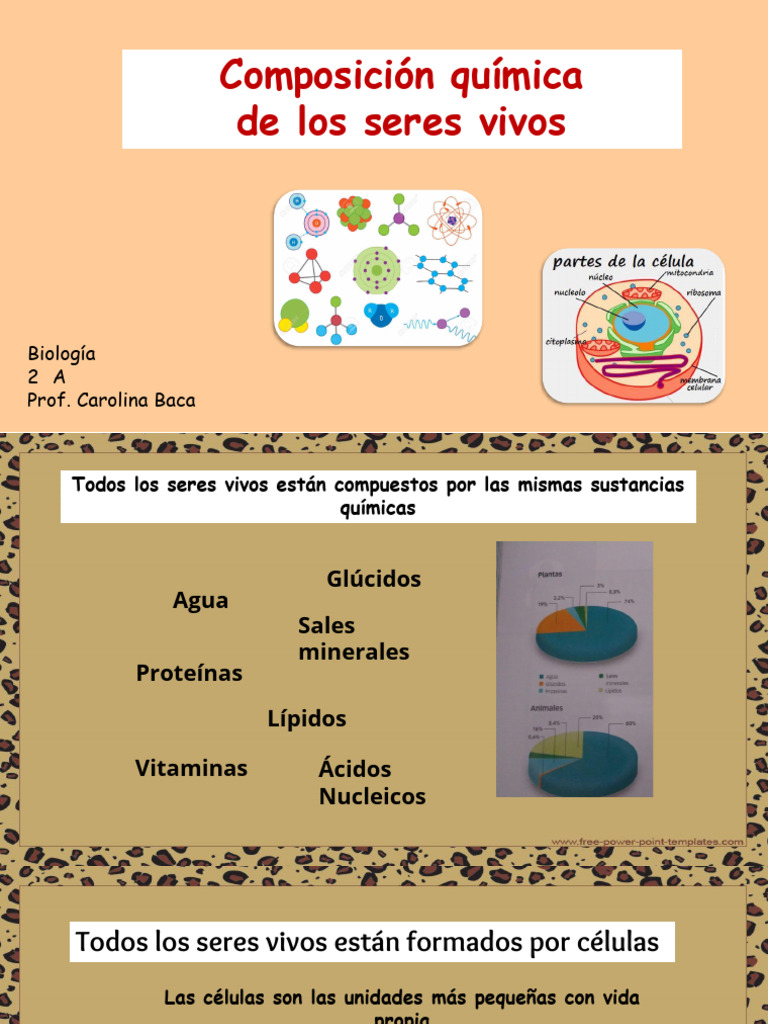 Clase 1 - Composición Química de Los Seres Vivos | PDF | Compuestos orgánicos | Organismos