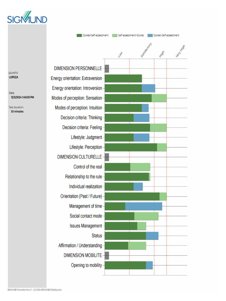 Graphic Profile Sigmund Test | PDF