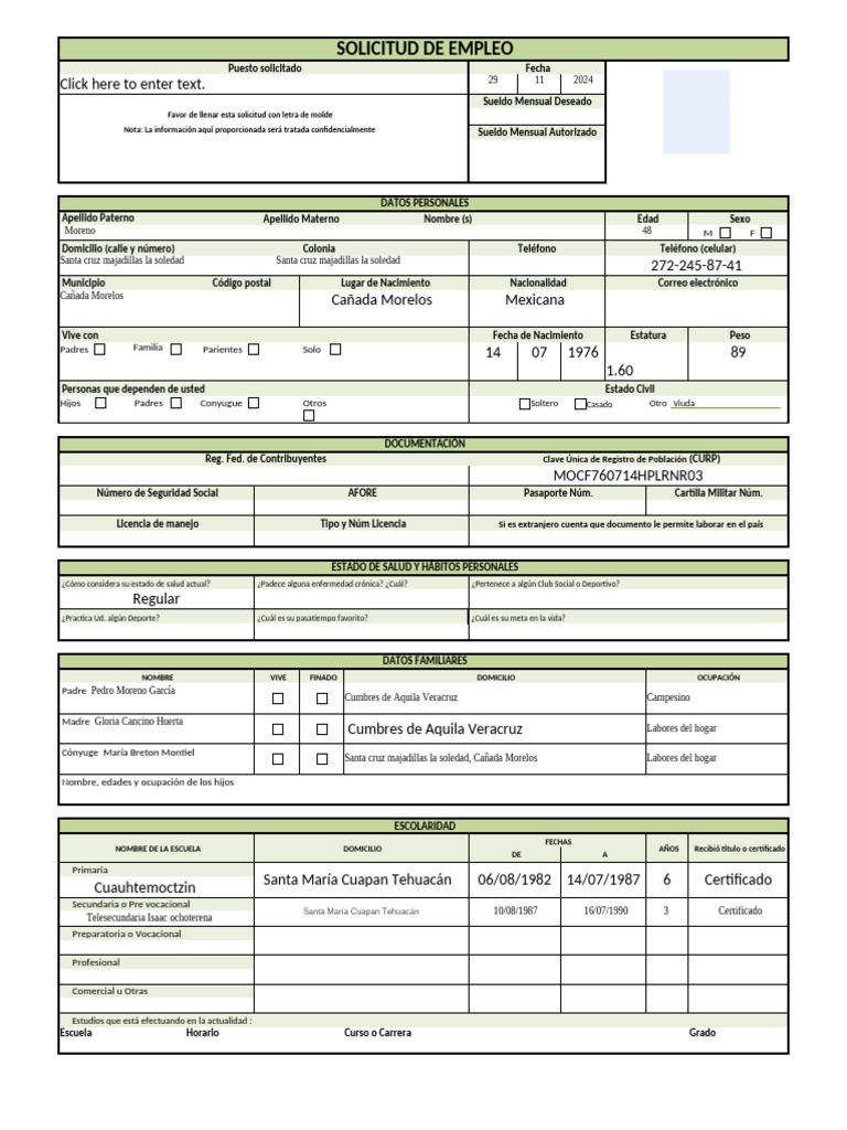 Formato Solicitud de Empleo | PDF