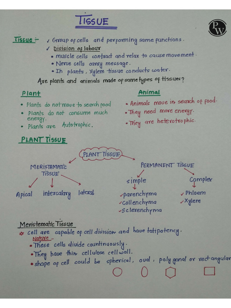Tissues Handwritten Notes Champion Batch679b132dfc143774ff6f785c | PDF