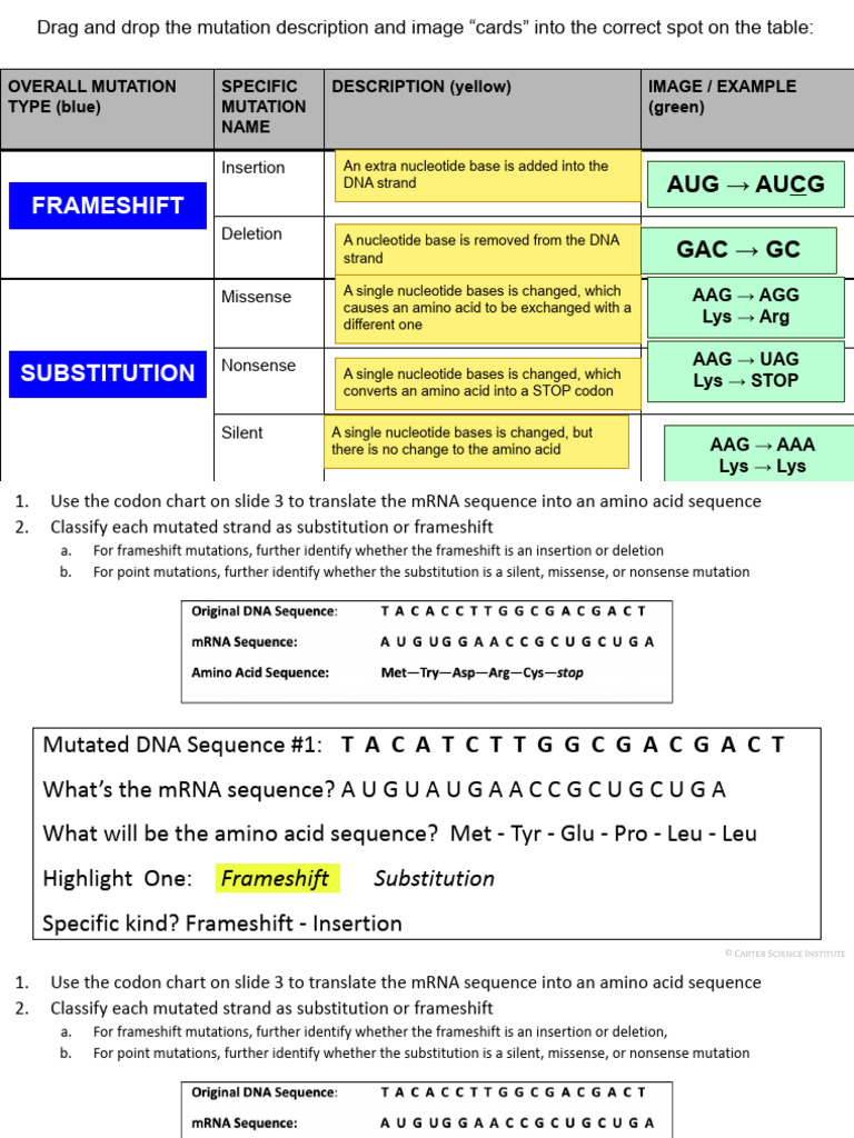 Mutation Types and Classifications Guide | PDF | Point Mutation | Genetic Code