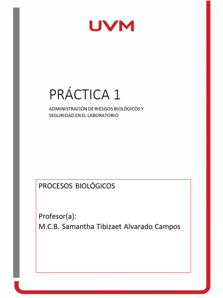Práctica 1 | PDF | Laboratorios | Residuos