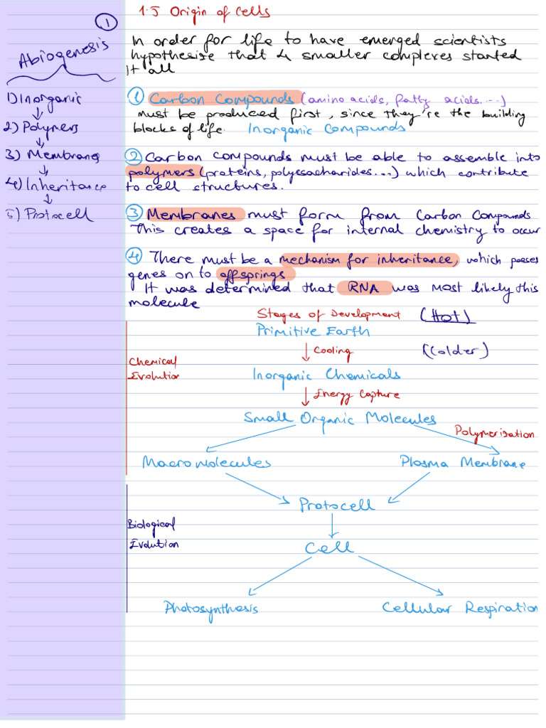 Unit 1 Study Note part 5 | PDF | Cell (Biology) | Mitosis