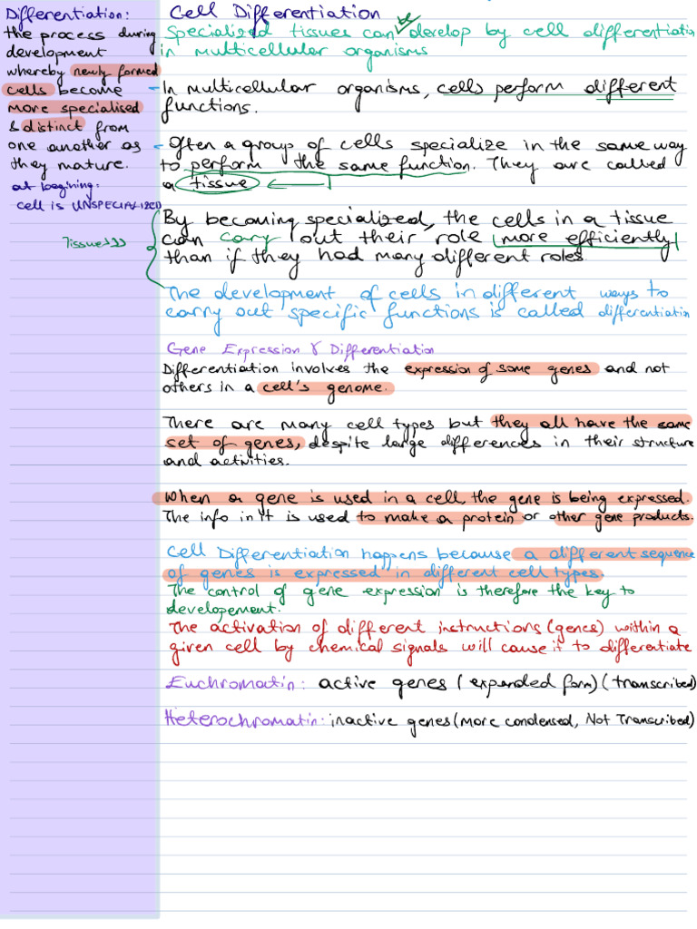 Unit 1 Study Note Part 2 | PDF | Cell Potency | Cellular Differentiation