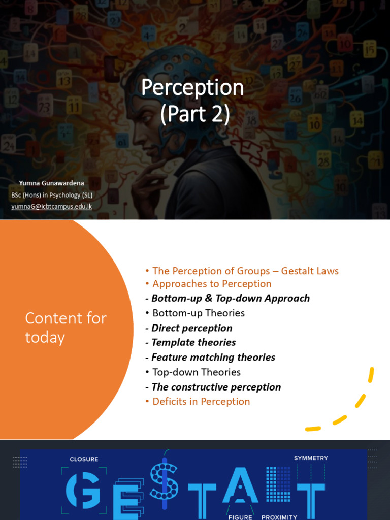 Cognitive Psychology - Lec 3 | PDF | Perception | Psychological Concepts